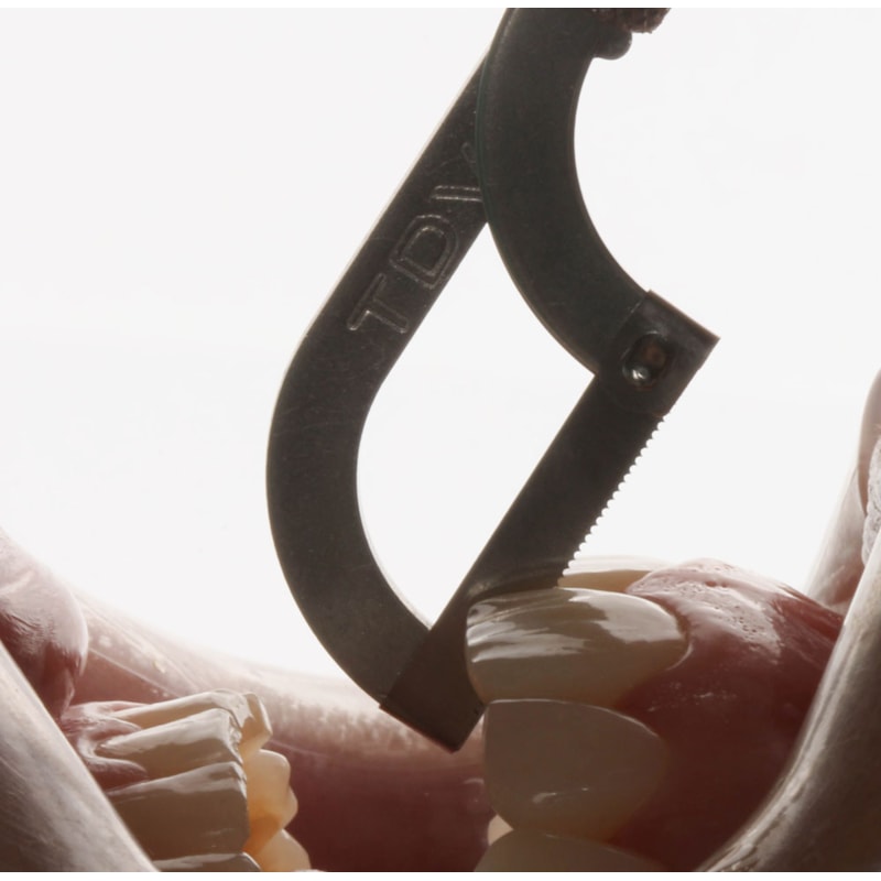 Kit Arco Microcut 3030 - TDV - Dental Light